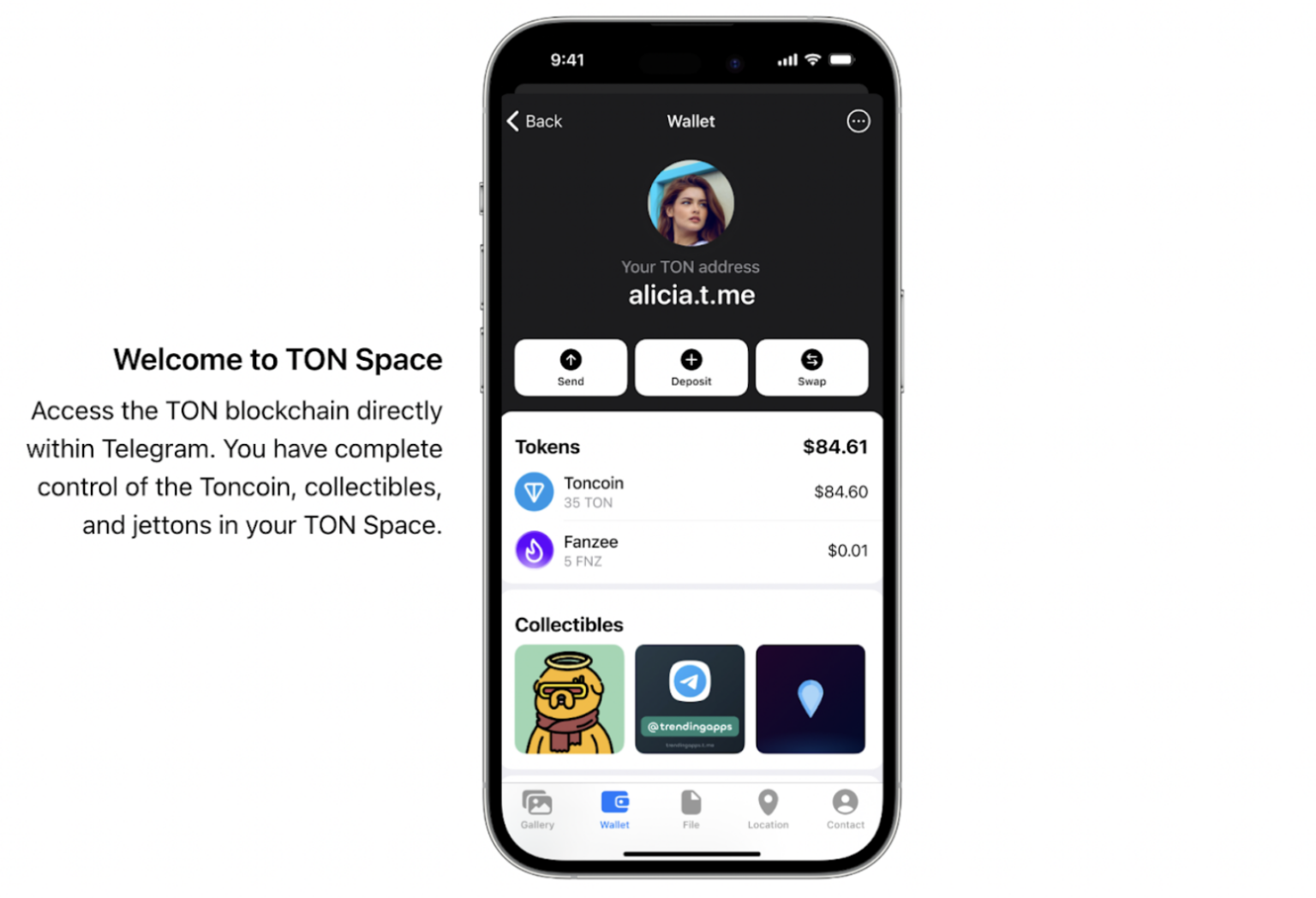TON, Our Largest Investment Ever | Pantera