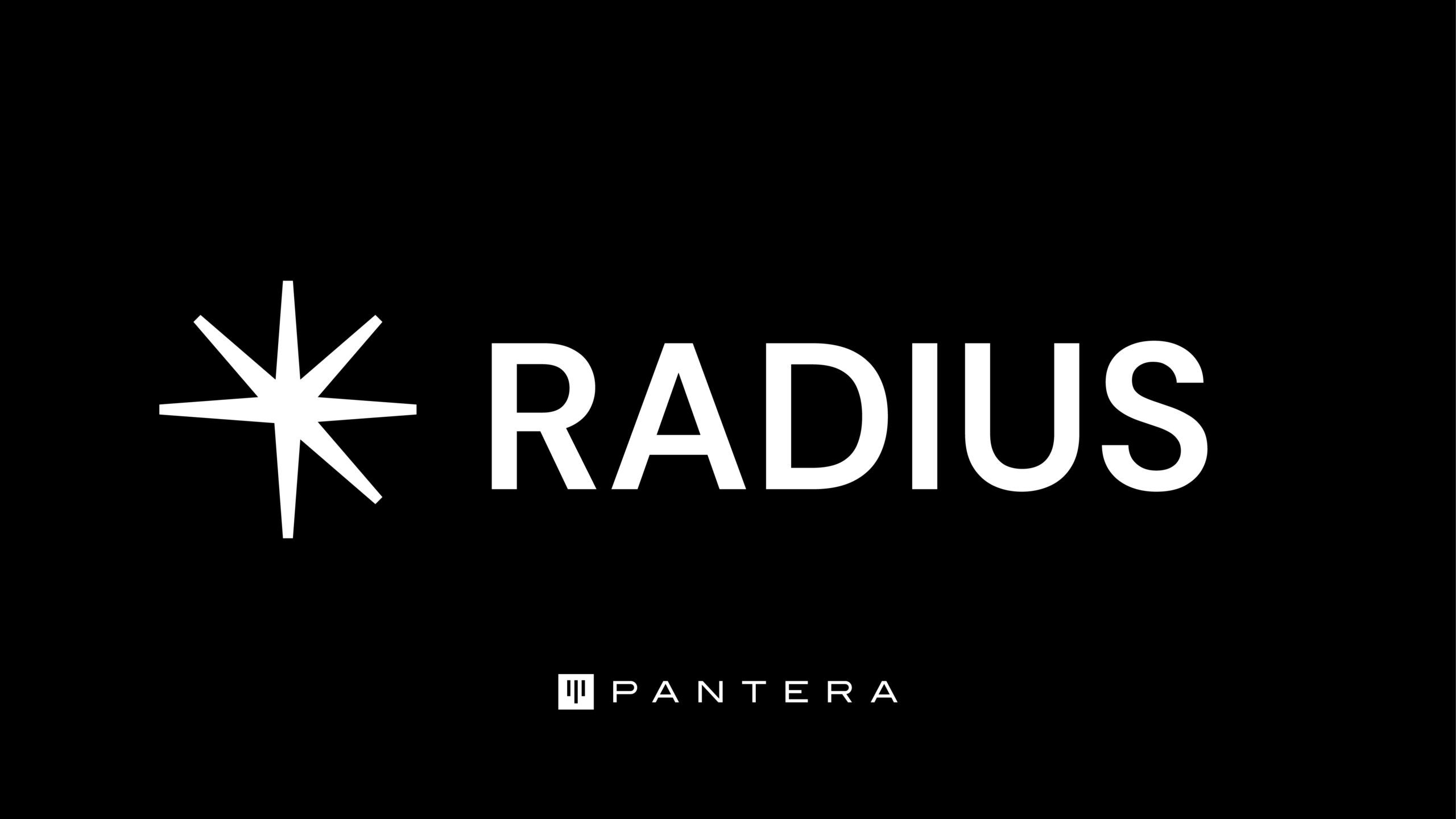 Radius Intelligence Logo Deweloper Warszawa Firma Deweloperska